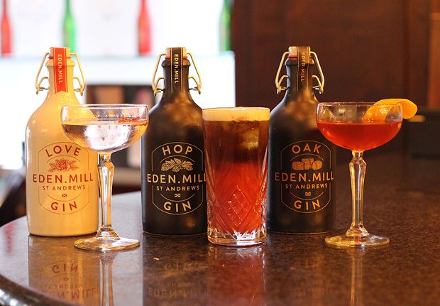 Eden Mill Distillery Tour: Gin | Data Thistle