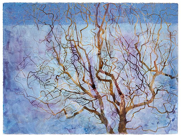 Victoria Crowe: Light On The Landscape | Data Thistle