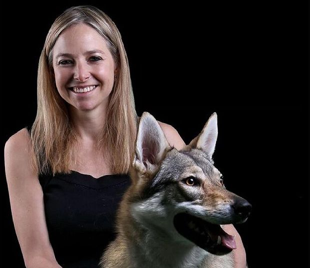 Tamed: With Professor Alice Roberts | Data Thistle