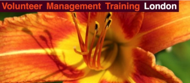 Volunteer Management Training | Data Thistle