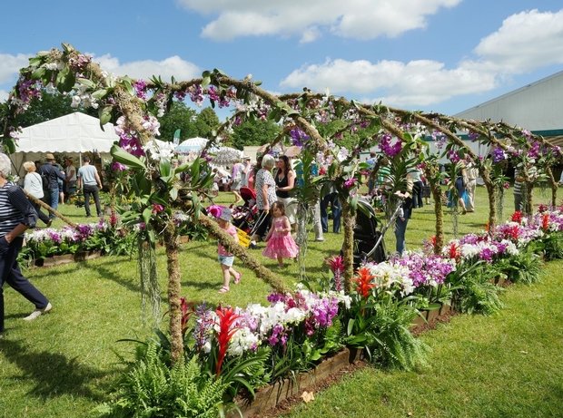 Blenheim Palace Flower Show | Data Thistle