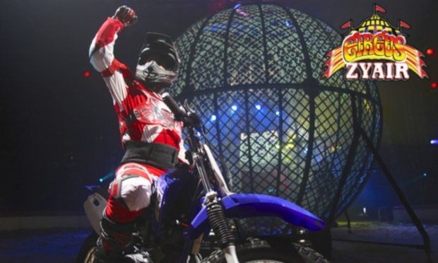 Circus Zyair | Data Thistle