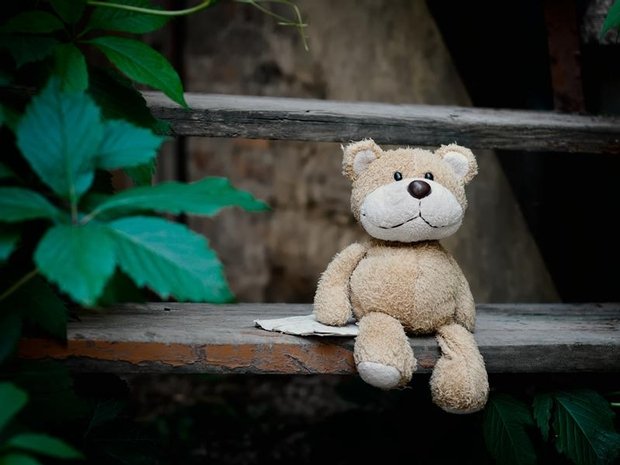 Lost Bear | Data Thistle