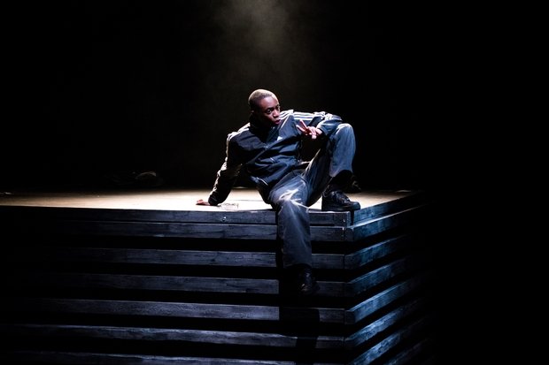 Good Dog | Data Thistle