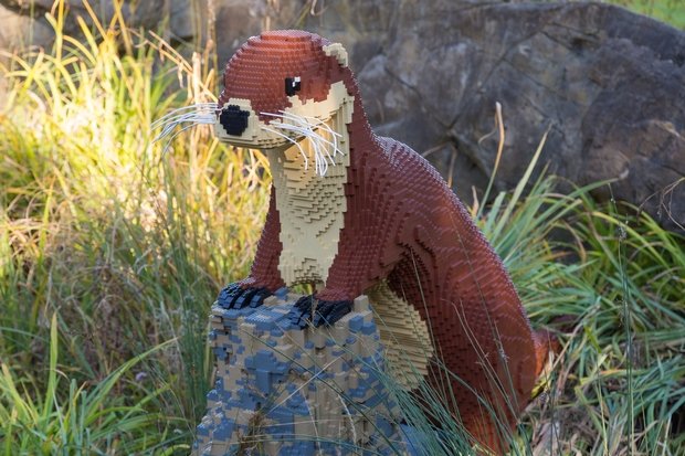 Giant LEGO Brick Animal Trail | Data Thistle