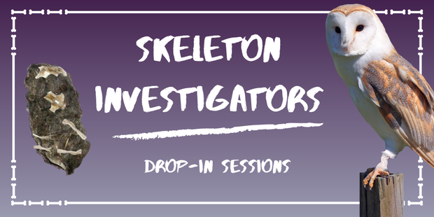 Skeleton Investigators: Drop-in Session | Data Thistle