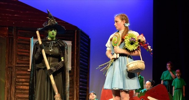 The Wizard of Oz | Data Thistle