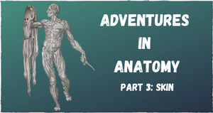 Adventures In Anatomy Part 3: Skin | Data Thistle