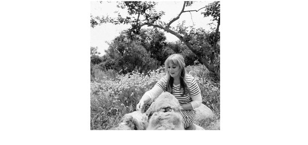 Isobel Campbell with Hannah Fisher & Sorren Maclean and Nina Violet ...