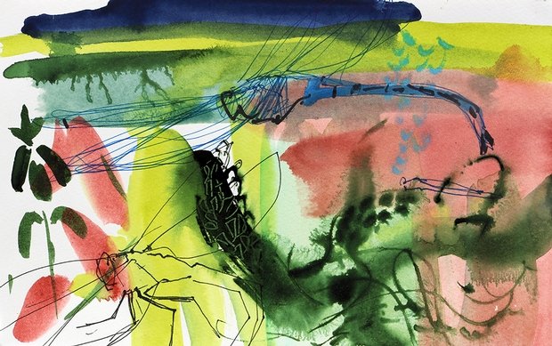 Interpretations | Data Thistle