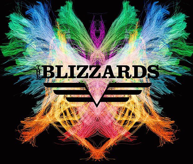 The Blizzards | Data Thistle