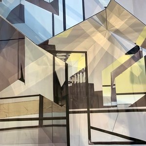 Rosalind Davis and Justin Hibbs: Vanishing Points | Data Thistle