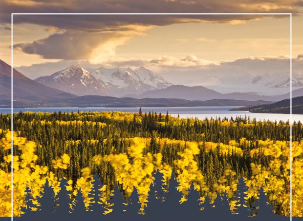 Canada's Wild Forests | Data Thistle