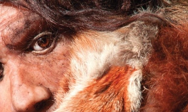 Surviving the Stone Age | Data Thistle