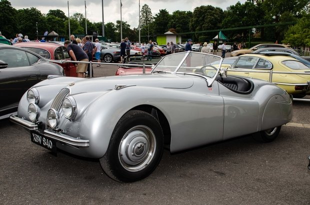 Simply Jaguar | Data Thistle