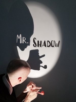 Mr. Shadow | Data Thistle