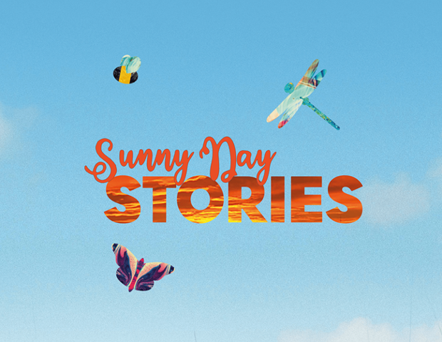 Sunny Day Stories | Data Thistle