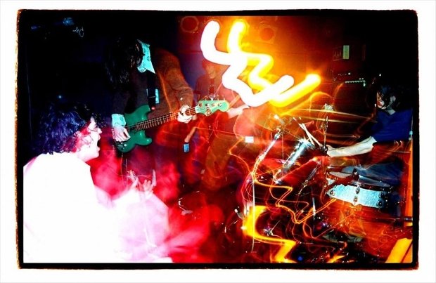 Part Chimp | Data Thistle