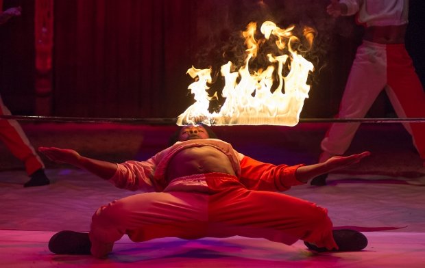 Zippo's Circus 2022 Birmingham | Data Thistle