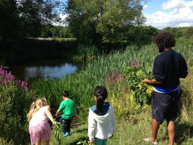 Bug Hunt in the park! | Data Thistle