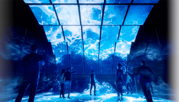 The Blue Paradox | Data Thistle