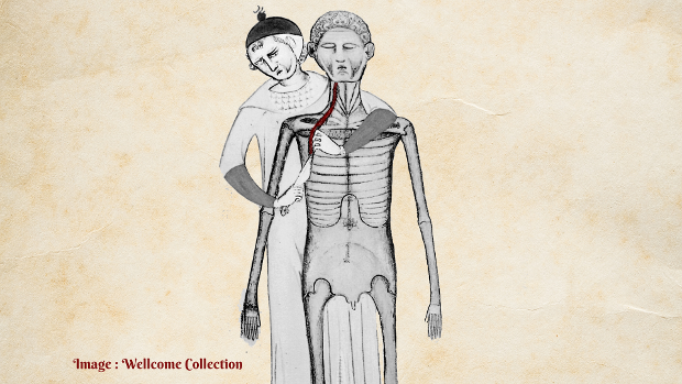 Deep Cuts: A History of Dissection | Data Thistle