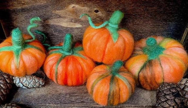 Full Day - Pumpkins - Needle Felting Workshop | Data Thistle