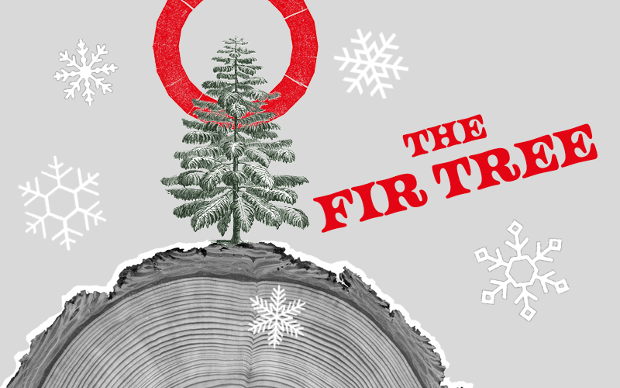 The Fir Tree | Data Thistle