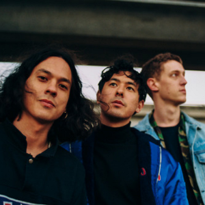 Last Dinosaurs | Data Thistle