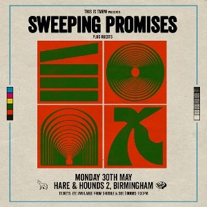 Sweeping Promises | Data Thistle