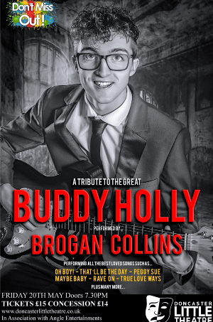 A Tribute To The Great Buddy Holly | Data Thistle