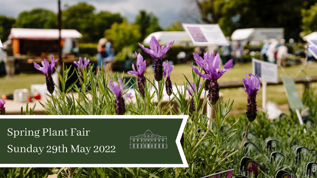 Annual Spring Plant Fair | Data Thistle