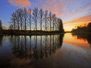 Hawick Camera Club Exhibition 2022 | Data Thistle