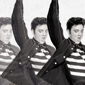 Elvis Legacy | Data Thistle