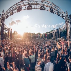 Festival | Data Thistle