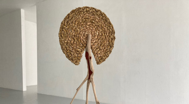 Anna Macleod: Artist’s Talk | Data Thistle