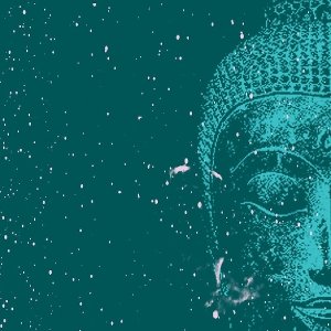 Planet Zogg 23rd Birthday w Cosmosis | Data Thistle