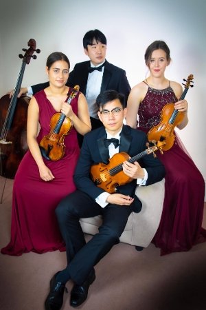 Resol String Quartet - Music in the gardens | Data Thistle