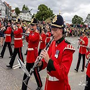 Band of the Mercian Regiment | Data Thistle