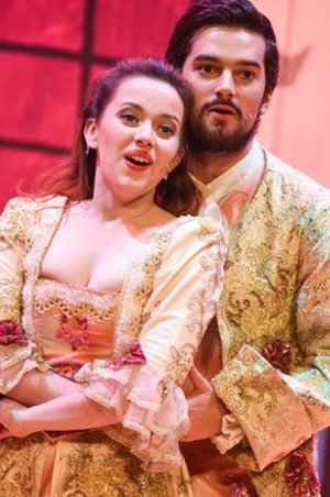 Cinderella | Data Thistle