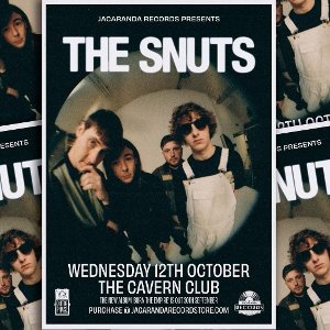 The Snuts | Data Thistle