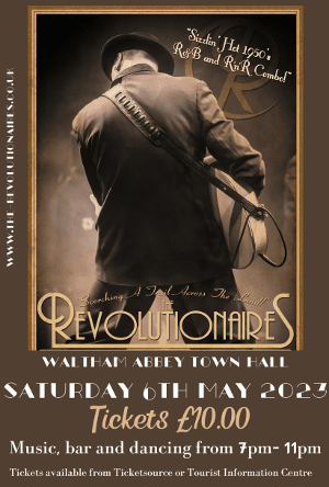 The Revolutionaires! | Data Thistle