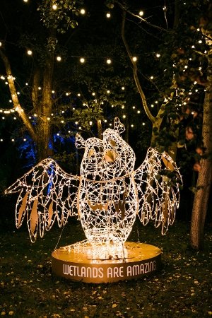 ILLUMINATURE – Explore WWT London Wetland Centre in a magical new light ...