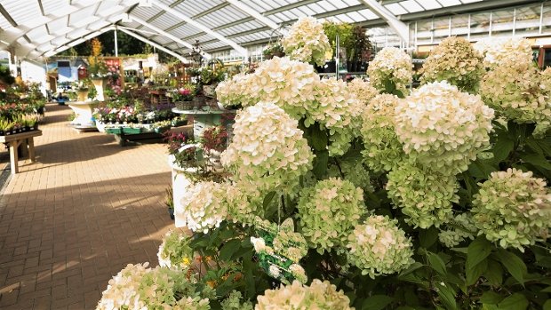 Torwood Garden Centre (Bellsdyke Road, Larbert)