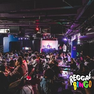 Reggae Bingo Birmingham | Data Thistle