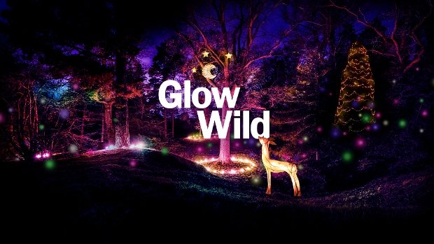 Glow Wild | Wakehurst | Data Thistle