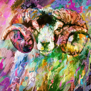 Colourful Sheep - 1-Day Painting Workshop with Sue Gardner | Data Thistle