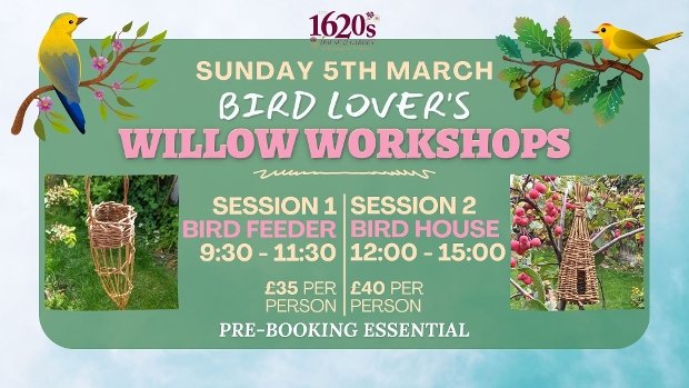 Bird Lover's Willow Workshop - Bird Feeder | Data Thistle