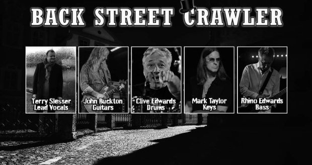 Back Street Crawler | Data Thistle