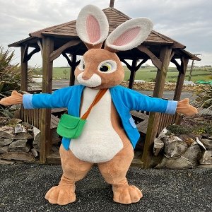 Alice in Wonderland & Mr Rabbits adventures | Data Thistle